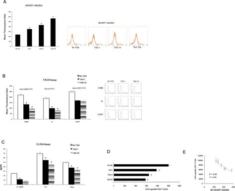 Radiation Driven Lipid Accumulation And Dendritic Cell Dysfunction In Cancer Scientific Reports