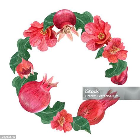 석류 과일 꽃 및 녹색 잎 수채화 둥근 프레임 흰색에 절연되어 있습니다 손으로 그린 생생한 예술은 식물 프린트 카드 꽃 티 패키지 포스터 및 직물에 이상적입니다 0명에 대한