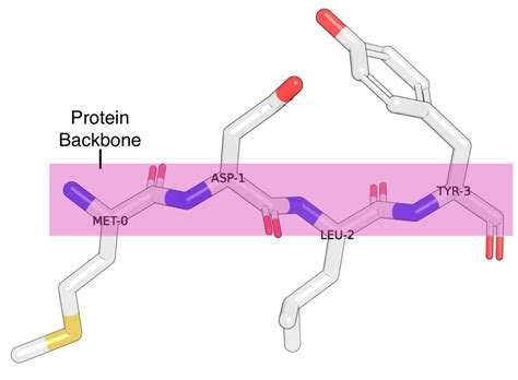 How To Solve The Protein Folding Problem Alphafold2 Towards Data Science