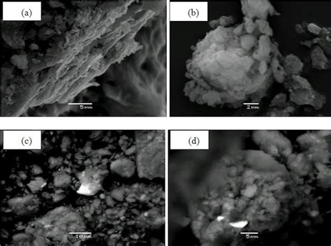Sem Microphotographs Showing The Porous Morphology Of Attapulgite Clay Download Scientific