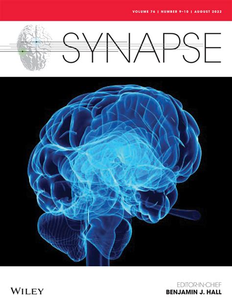 Differential Projections Of The Infralimbic And Prelimbic Cortex In The