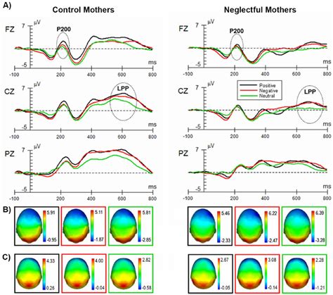 P200 And Lpp Components In Control And Neglectful Mothers To Positive Download Scientific
