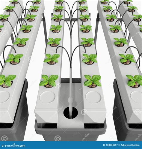 Hydroponic Growing System With Independent Water Tank Stock