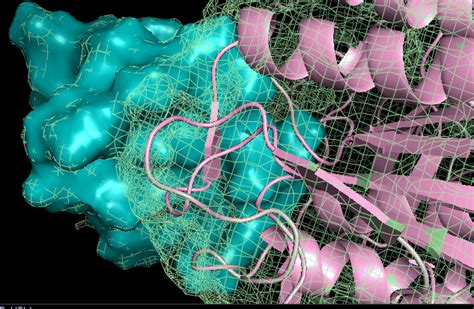 Python High Dot Density Gives Negative Interaction Area In Pymol