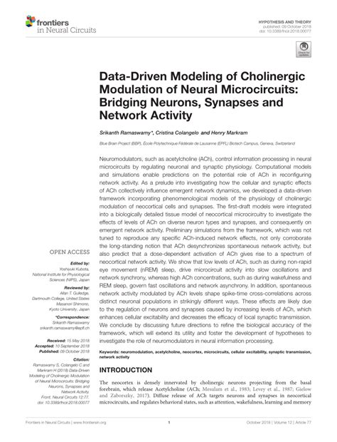 Pdf Data Driven Modeling Of Cholinergic Modulation Of Neural Microcircuits Bridging Neurons