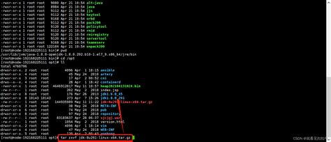 记录一次heap bin文件分析 heap bin分析 csdn博客