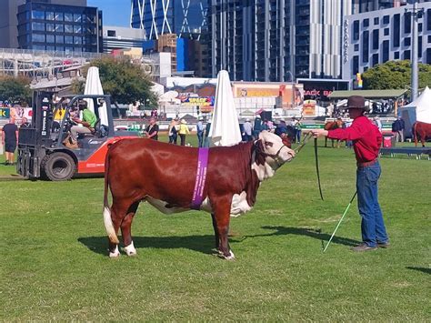 Excelling At The Ekka I Australian Rural And Regional News