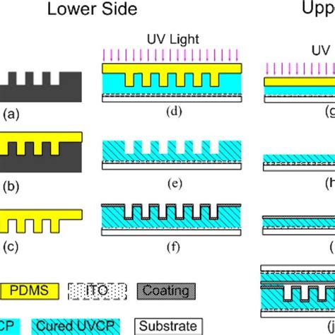 Schematic Diagram Of The Array Fabrication Procedure A The Process Download Scientific