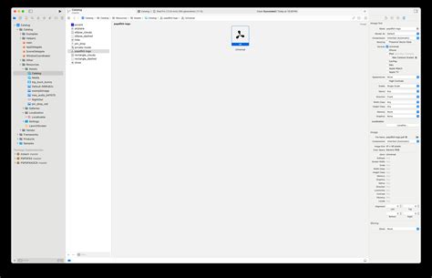 Using Asset Catalogs For Images
