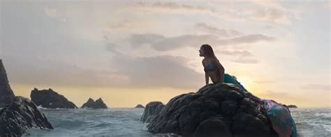 Little Mermaid On Rock