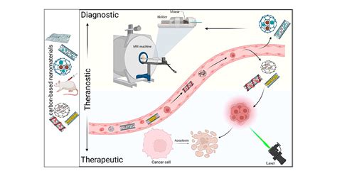 Multifunctional Carbon Based Nanoparticles Theranostic Applications In