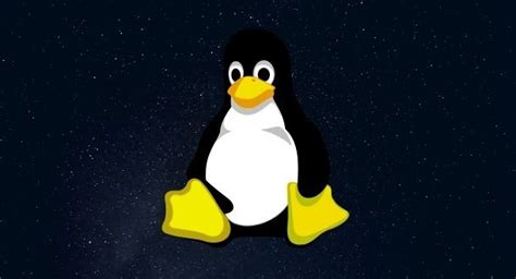 Critical Zero Day Vulnerability In Linux Kernel Allows Dos Attack