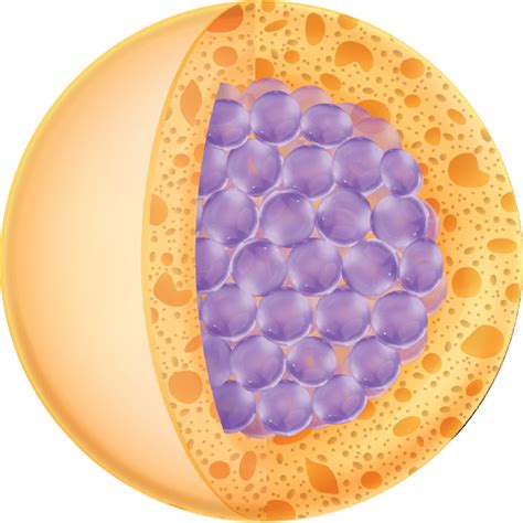 Tsho Ladyissue เว็บรีวิวเครื่องสำอาง ชุมชนผู้หญิง ฮาวทูแต่งหน้า