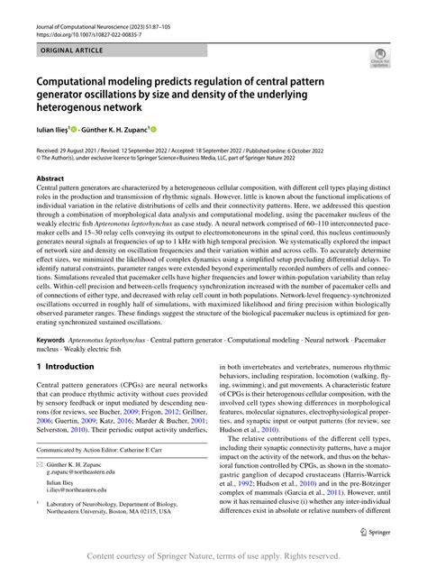 Computational Modeling Predicts Regulation Of Central Pattern Generator