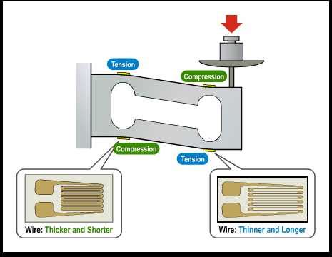 Understanding The Basics 4 Wire Load Cell Wiring Explained