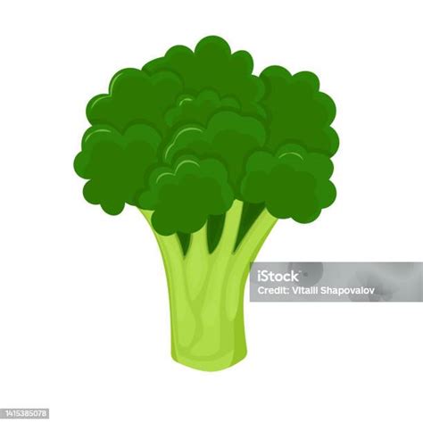 흰색 배경에 고립 된 브로콜리 플랫 스타일의 신선한 브로콜리 브로콜리에 대한 스톡 벡터 아트 및 기타 이미지 브로콜리 벡터 일러스트레이션 Istock