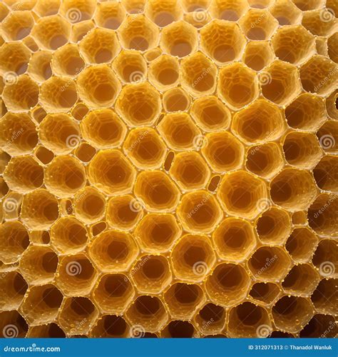 Encapsulates An Exploration Of The Intricate Molecular Structure And