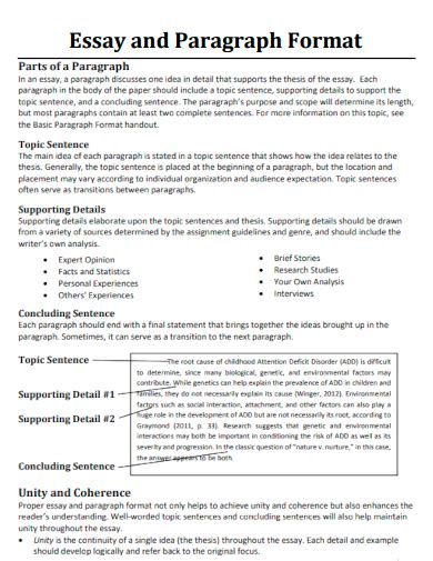 20 Paragraph Examples