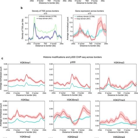 Tad Analysis At Different Developmental Stages A Ctcf And Rad21 Download Scientific Diagram