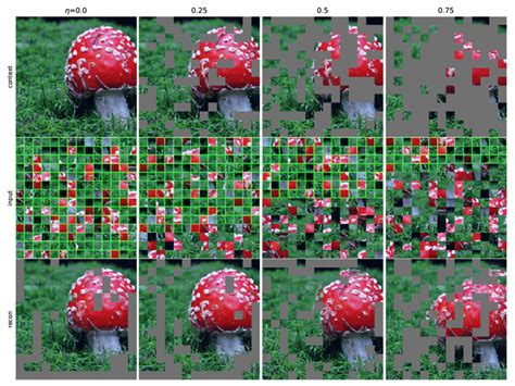 An Image From The Imagenet Validation Set Top Left Corner And Its