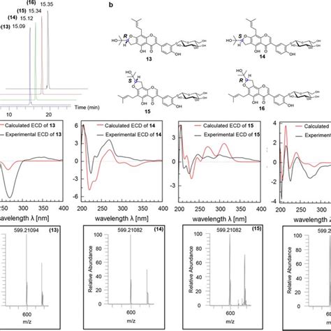 Determination Of The Absolute Configuration Of Compounds 13 16 A Base