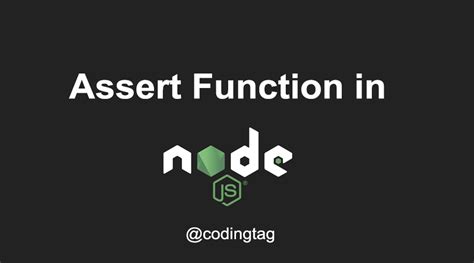 Assert Function In Nodejs