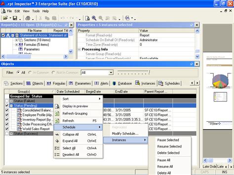 Rpt Inspector Enterprise Suite For Businessobjects Enterprise Crystal Enterprise Crystal