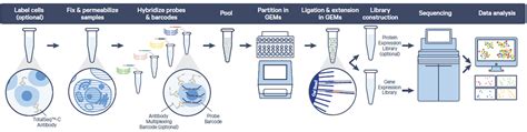 Flex Scrna Sequencing Cancer Genomics Center Uthealth Houston