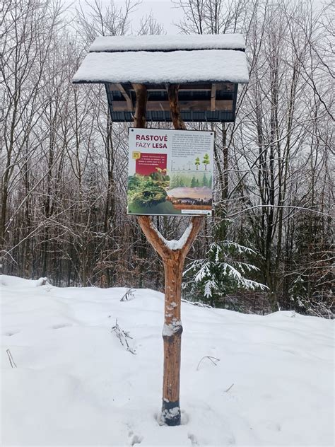 Img 20231221 103449 Povina