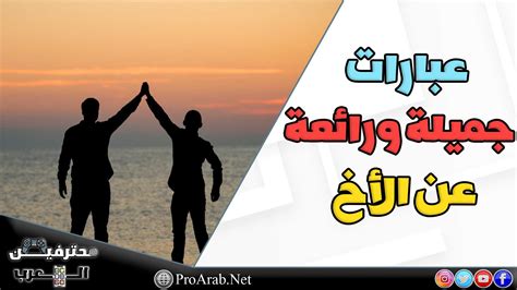 أجمل العبارات و النصوص و الكلمات عن الأخ