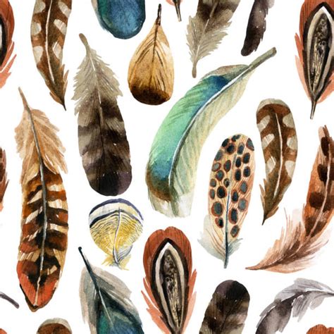 Eagle Feather Illustrations Royalty Free Vector Graphics And Clip Art