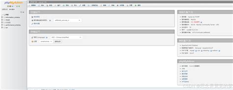 Docker Compese 启动mysql8036与phpmyadmin，并使用web连接数据库