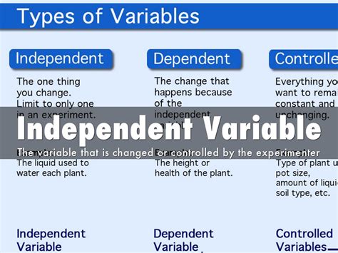 Independent Variable