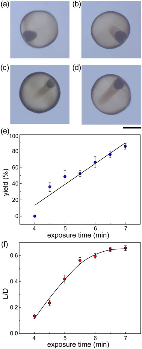 Morphology Evolution Of The Internal Anisotropic Structure At Exposure Download Scientific