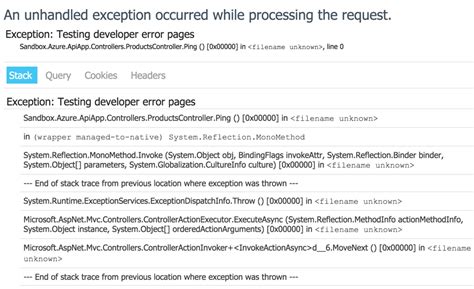 c developer exception page is blank if added to iapplicationbuilder