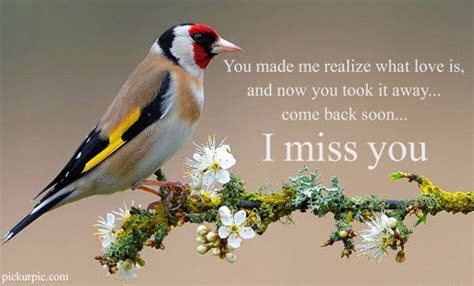 Come Back Soon Quotes Quotesgram
