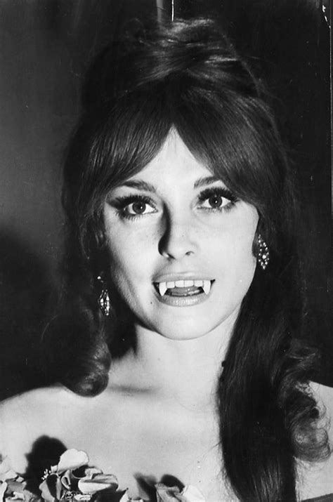 The Sensational Sharon Tate Blog Kerstien Matondang S New Sharon Art