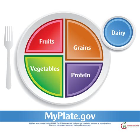 Myplate Activity Poster Curriculum Matrix Michigan Agriculture In