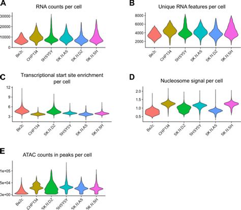Simultaneous Single Nucleus Rna Sequencing And Single Nucleus Atac Sequencing Of Neuroblastoma