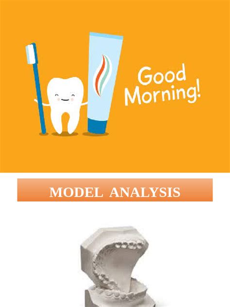 Dental Model Analysis Techniques Pdf Tooth Dental Anatomy