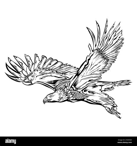 Eagle Silhouette That Is Flying Perfect For Stickers Icons Logos And