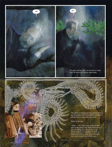 Signal To Noise Zona Negativa