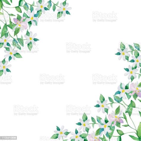 베 르가 못 흰 꽃과 녹색 잎의 무성 한 나뭇가지의 수채화 비쳐 프레임 손으로 그린 청첩장 저장 날짜 또는 카드 디자인에 대 한 공간 텍스트와 흰색 배경에 녹색 피