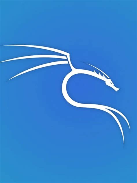 How To Install Kali Linux On Android