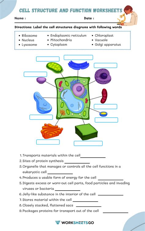 What Is Cell And Its Structure Worksheet Infoupdate Org