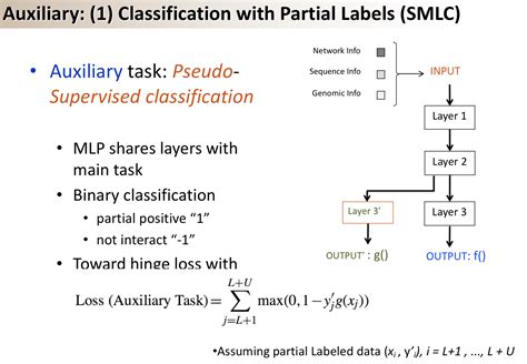 Bioinformatics Semi Supervised Multi Task Learning Using Biotext