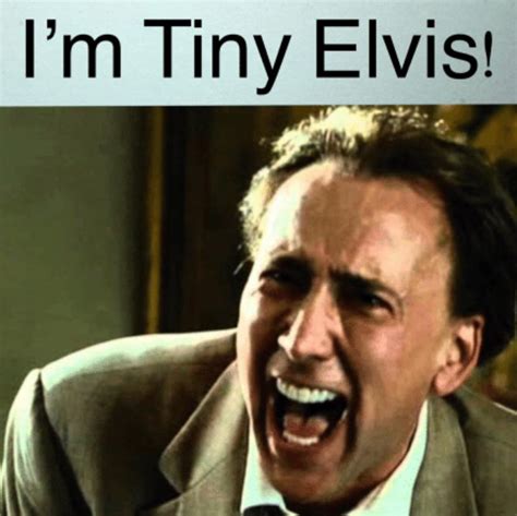 Tiny Elvis