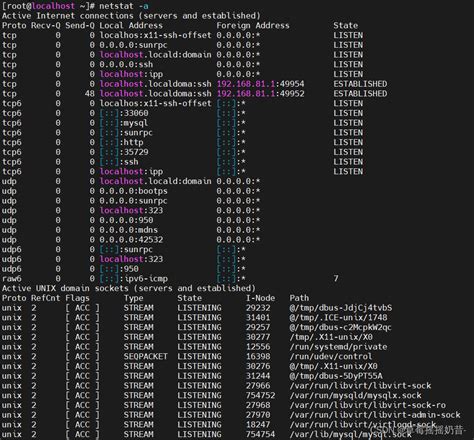 Netstat 基本使用方法 Csdn博客