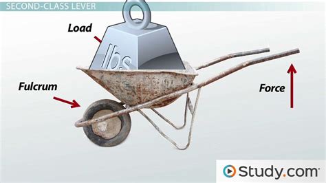 Second Class Lever Examples