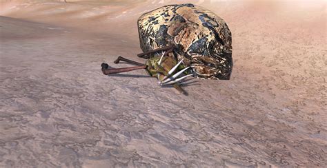 Update Bug Was NOT Friendly R Kenshi